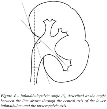 International Braz J Urol